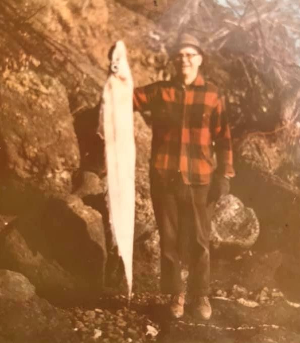 Very Rare Fish Find: King-Of-The-Salmon (Trachipterus altivelis) | The ...