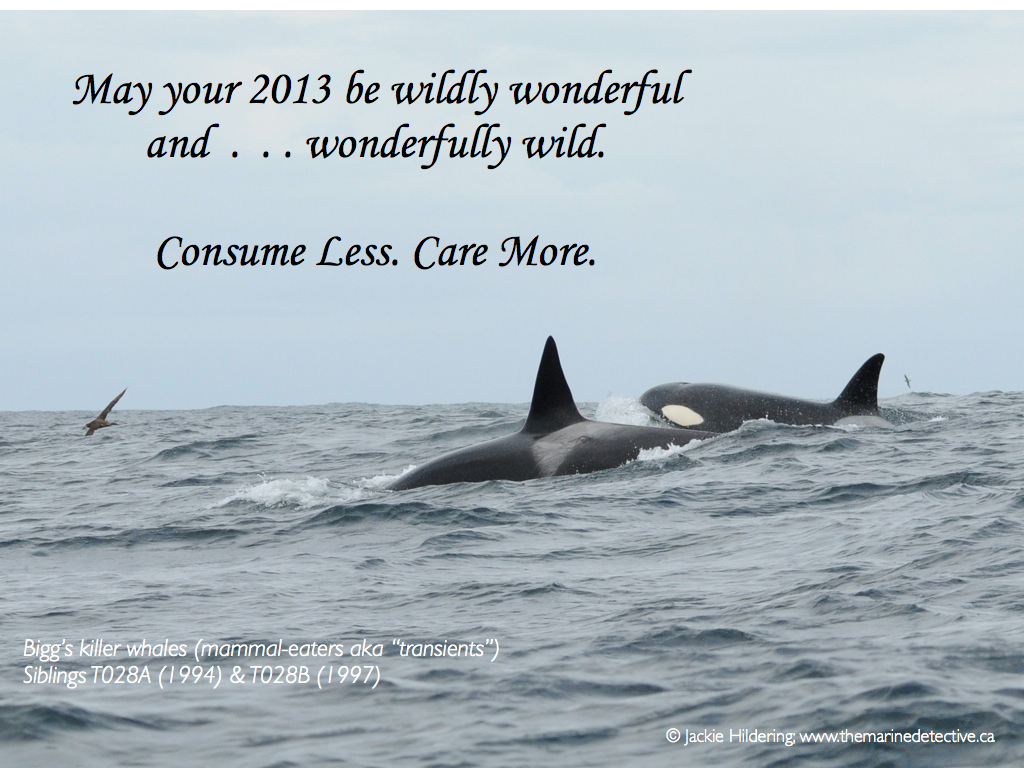 Great Orca Quotes Seaworld Sucks