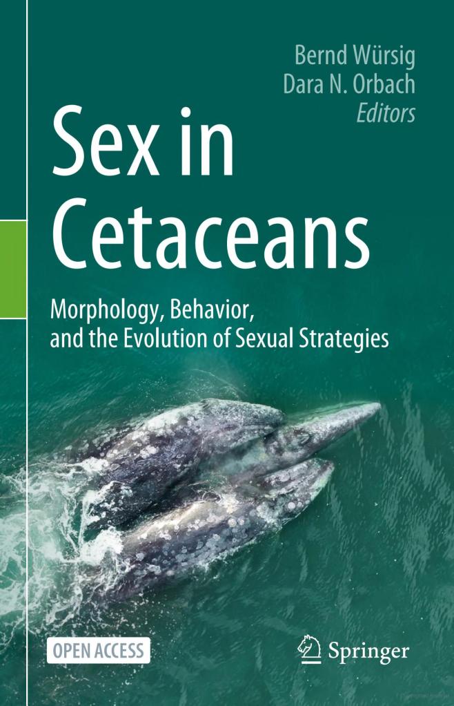 Cetaceans – Male or Female? How to Know? | The Marine Detective