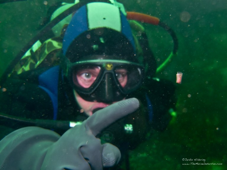 Slugs that Fly? The Great Winged Sea Slug. | The Marine Detective